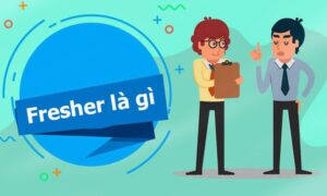 Fresher, Junior, Senior là gì? Tiêu chí phân biệt và đánh giá cụ thể ...